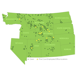 About Pine Cove Consulting